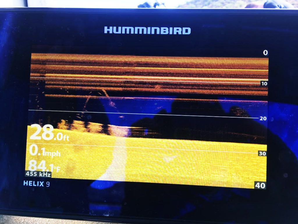 魚探で探る！ジョージアキューブの全貌とその効果😀